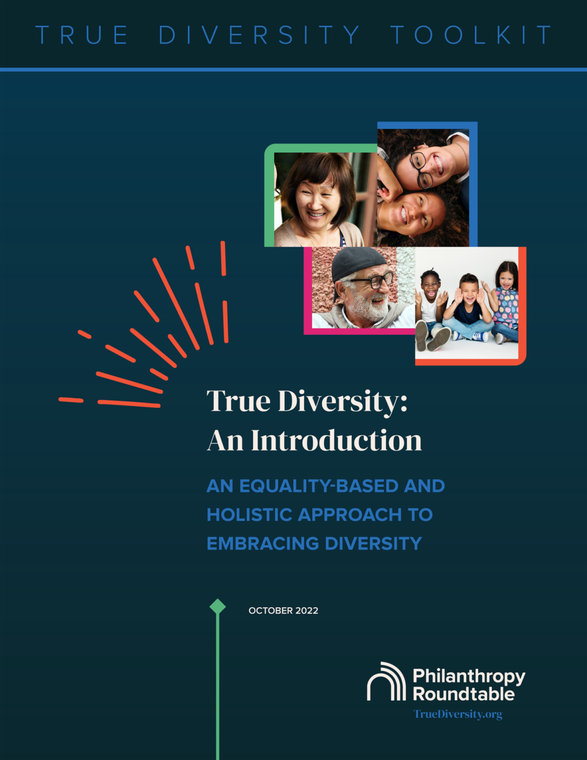 True Diversity: An Introduction