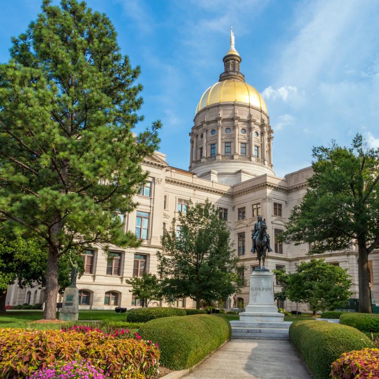 Schmidt at Georgia Center for Opportunity: Two New Laws Bring Good News ...
